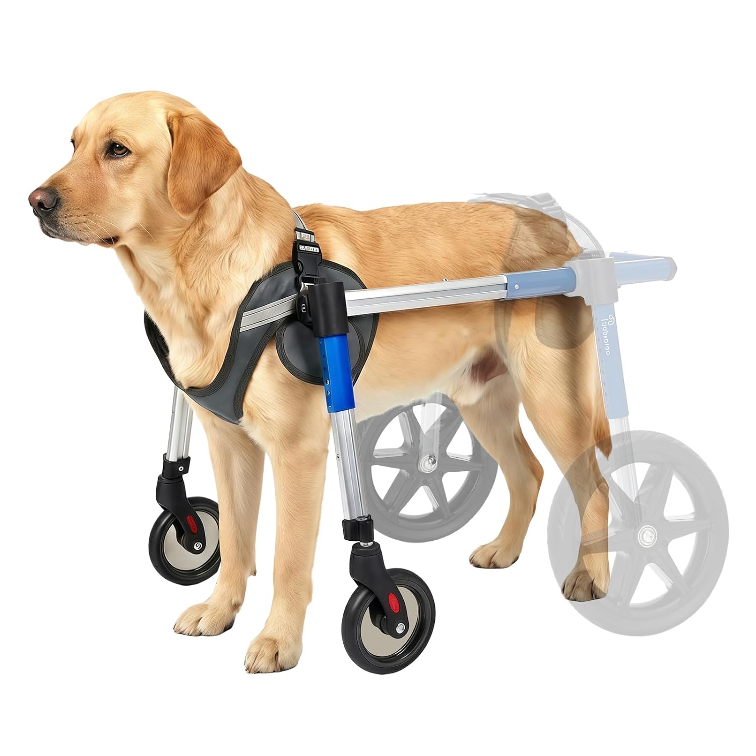 Amazon.com: Dog Wheelchair Front Wheel Kit for Upgrading Hind Leg ...