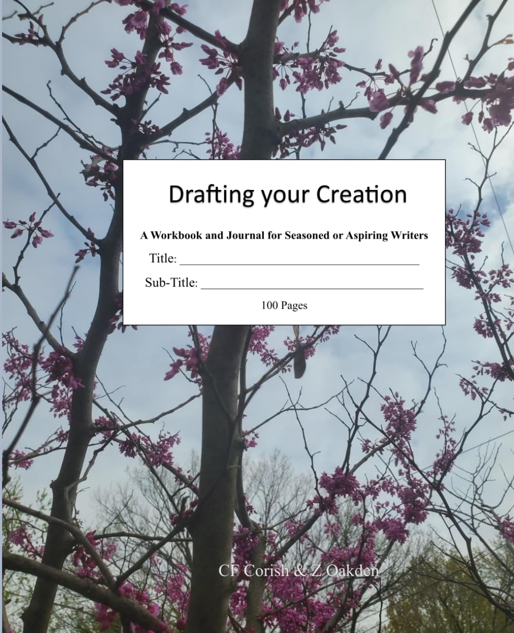 Draft to Creation: A guidebook and Journal for seasoned or aspiring ...