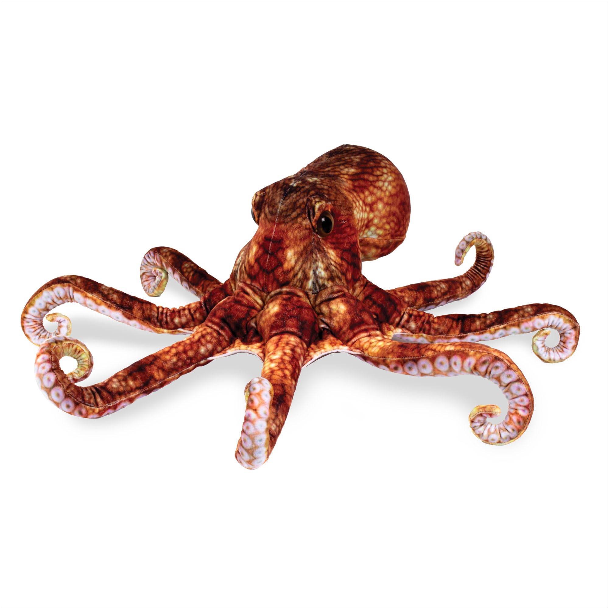 Amazon.com: Real Planet 22'' Orange Octopus- Realistic Stuffed Octopus ...