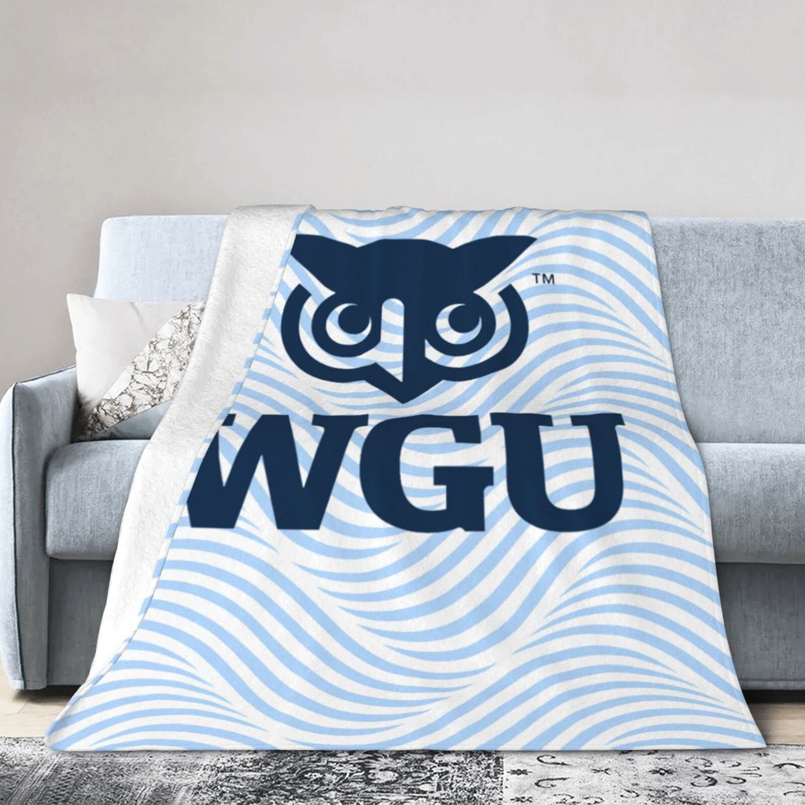 Wgu Logo WGU Provides Details On Its MicroBachelor: Successful
