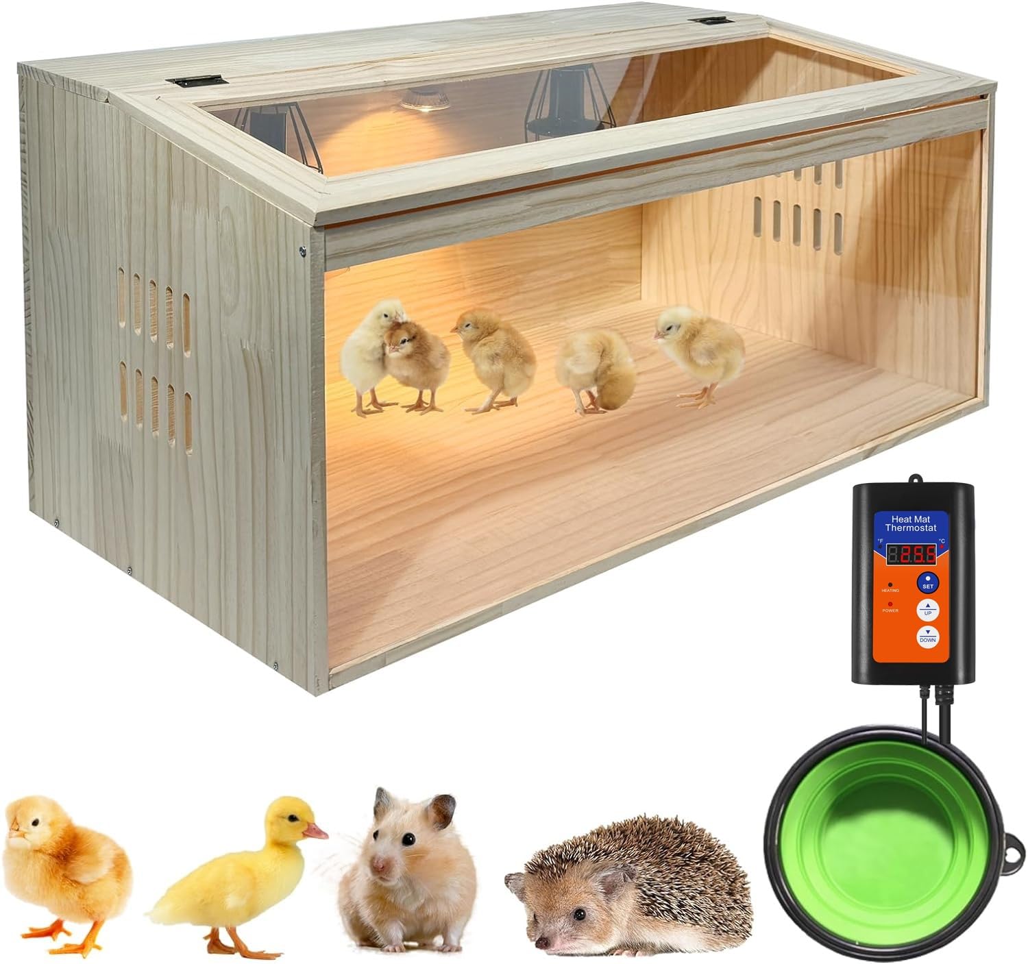 Amazon.com: 20-Piece Large Chicken Brooder Box, All-in-One Kit Brooder ...