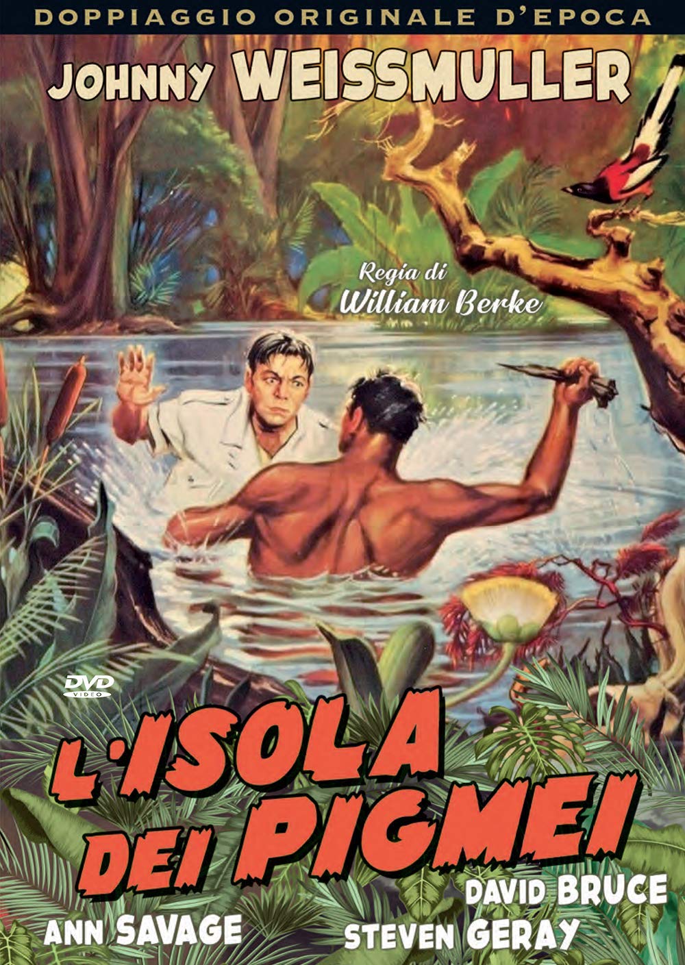 Amazon.com: Pygmy Island [DVD] (English audio) [Region Free] : Movies & TV