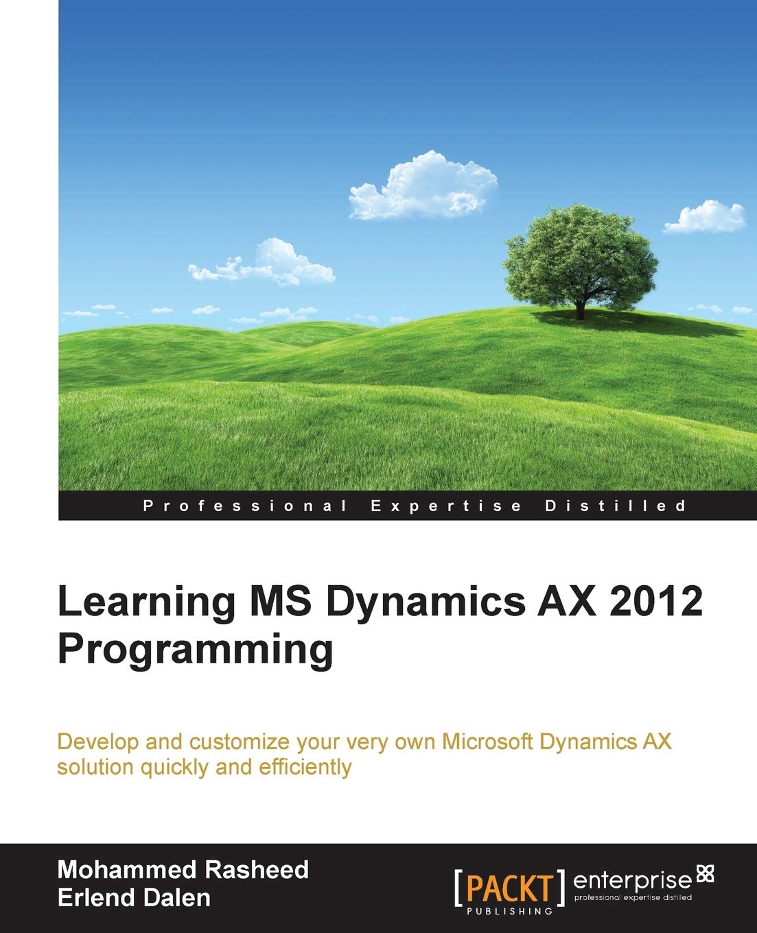 Learning Ms Dynamics Ax 2012 Programming: Rasheed, Mohammed ...