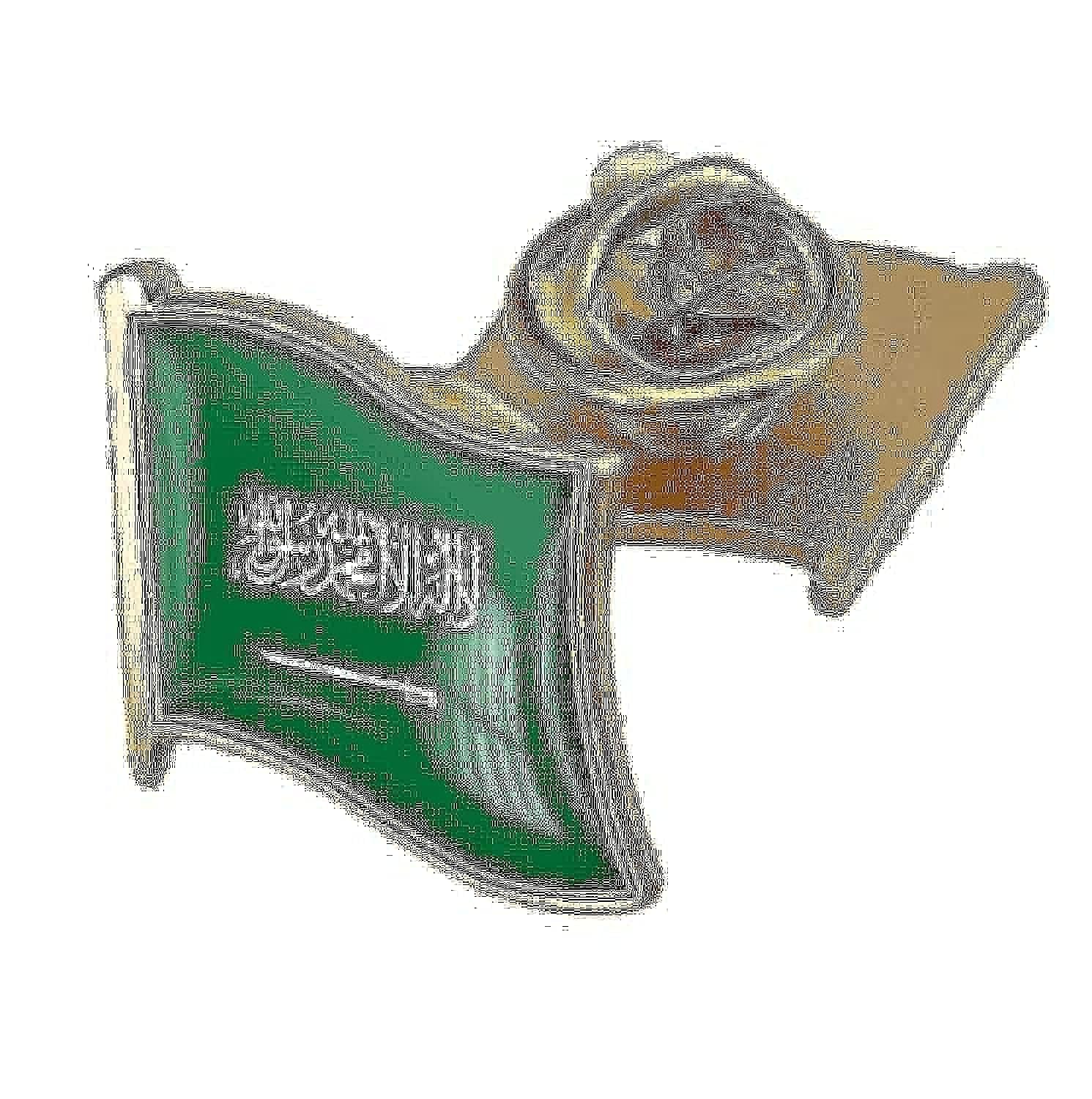 Saudi Arabia Flag Lapel Pin Brooch (19) - Green : Buy Online at Best ...