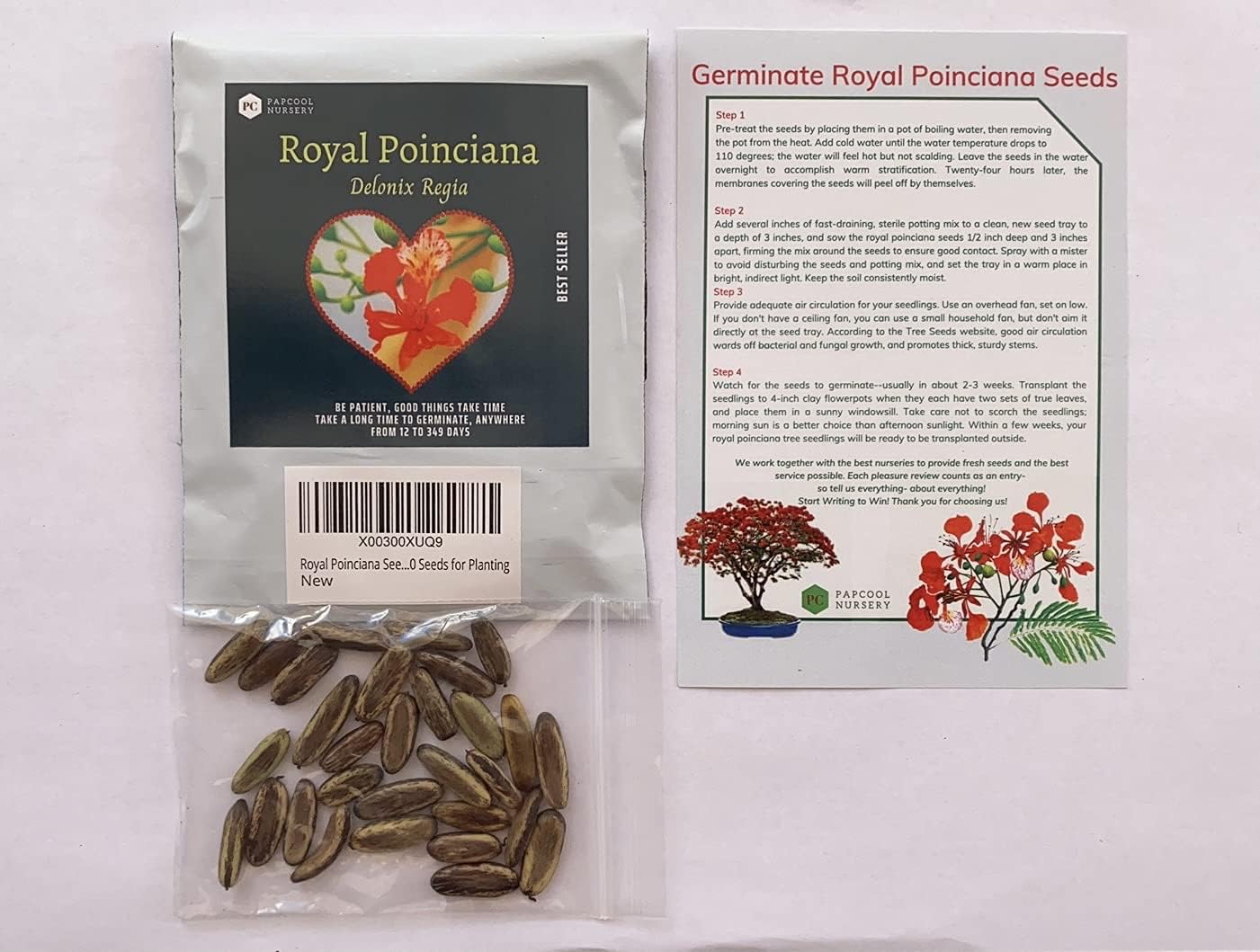 Flamboyan Delonix Regia Seeds for Planting Flamboyant Tree Seeds Royal ...