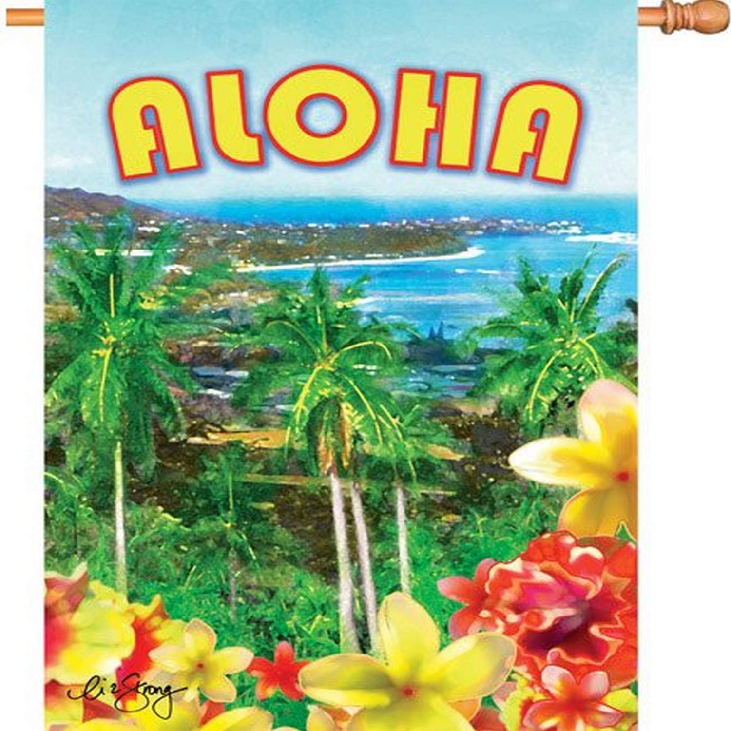 Amazon.com : Premier Kites 52818 House Brilliance Flag, Aloha From ...