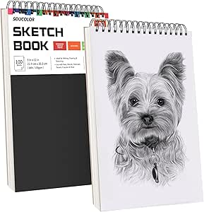 Amazon.com: Professional Drawing Supplies for Sketch, Charcoal, Colored, Graphite, Pastel ...