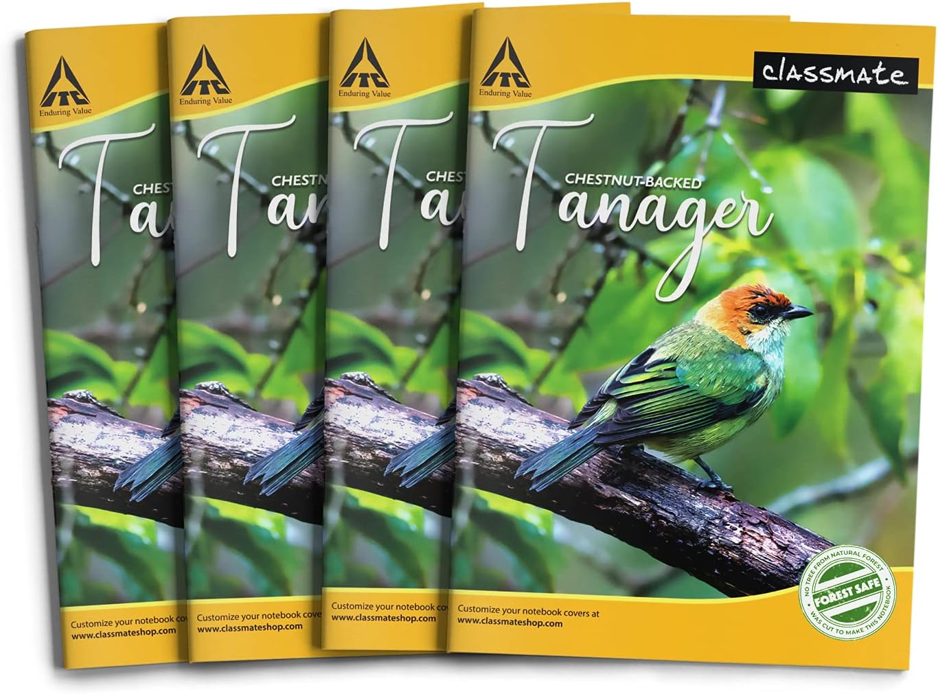 Classmate Drawing Book - Unruled, 40 Pages, 210 mm x 297 mm - Pack Of 4 ...