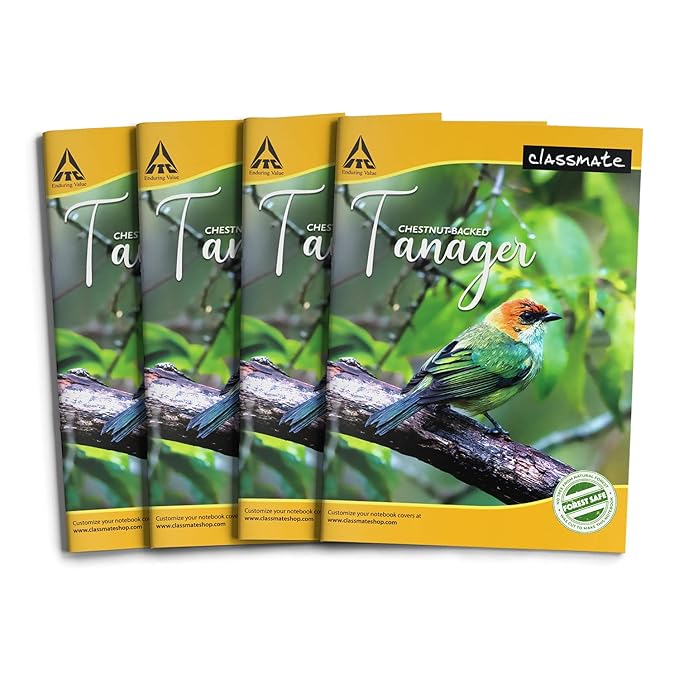 Classmate Notebook - Single Line, 72 Pages, 240 mm x 180 mm - Pack Of 4 ...
