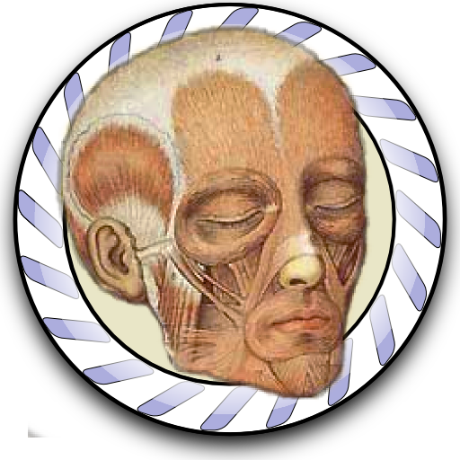 Speed Muscles MD - App on Amazon Appstore