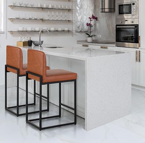 Amazon.com: Erste!Bravo Brown Bar Stools Counter Height Set of 2 for ...