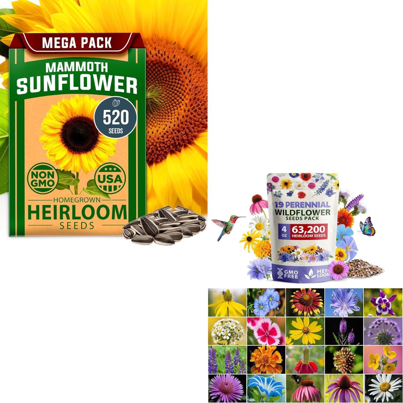 Amazon.com : HOME GROWN Wildflower & Giant Sunflower Seed Mix – 63,700 ...