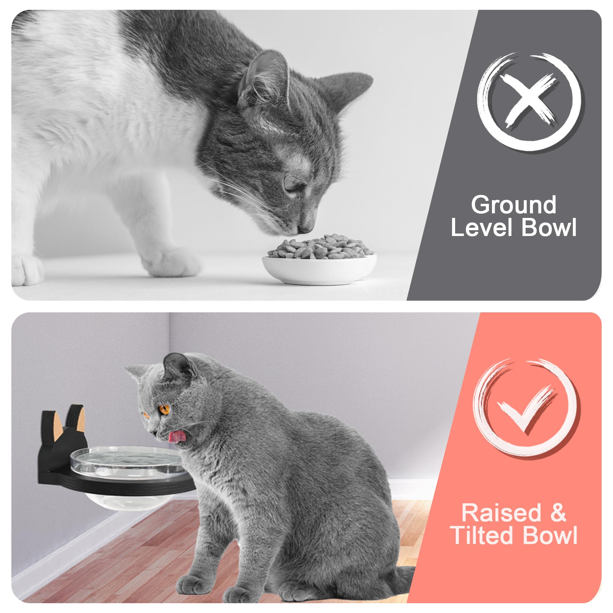Snapklik.com : 3 Adjustable Cat Bowls For Food And Water, Cat Dishes ...