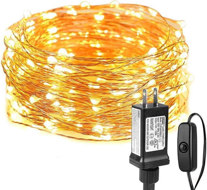 Amazon.com: Lighting EVER Fairy Lights Plug in, 33ft 100 LED String ...