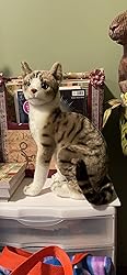 Amazon.com: VIAHART Amy The American Shorthair Cat - 14 Inch Stuffed ...