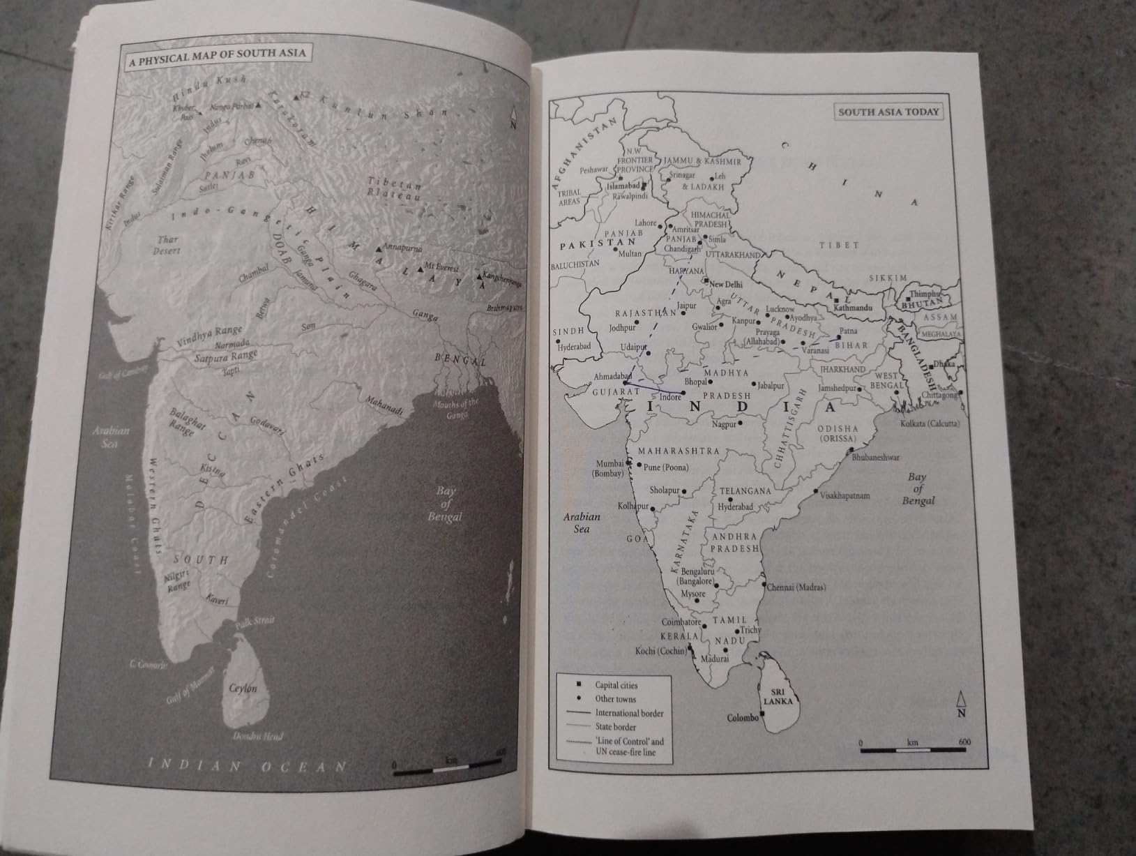 Buy Indi: A History Book Online at Low Prices in India | Indi: A ...