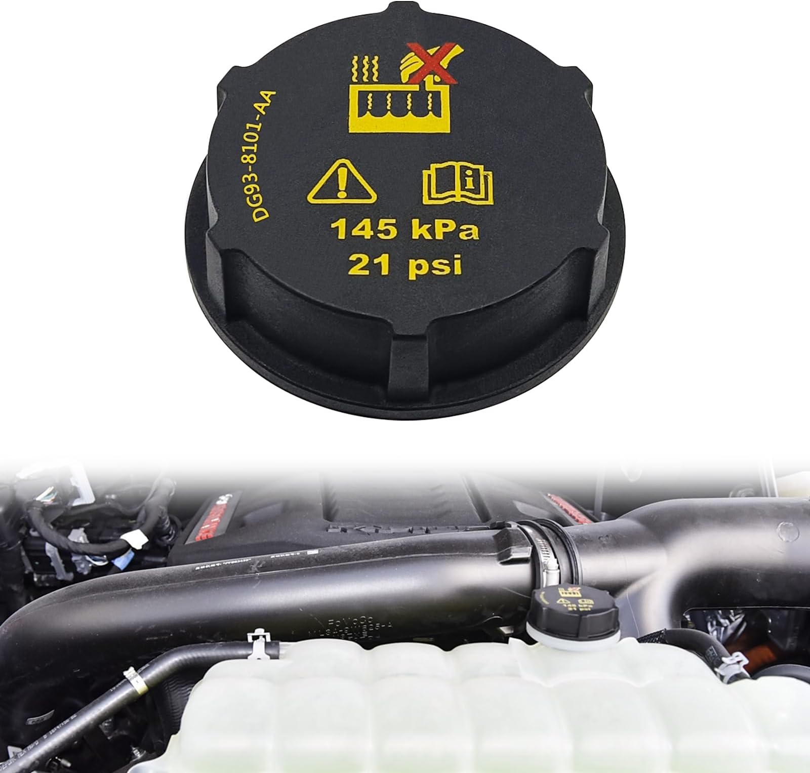 Amazon.com: URO Parts 31368311 Expansion Tank Cap : Automotive