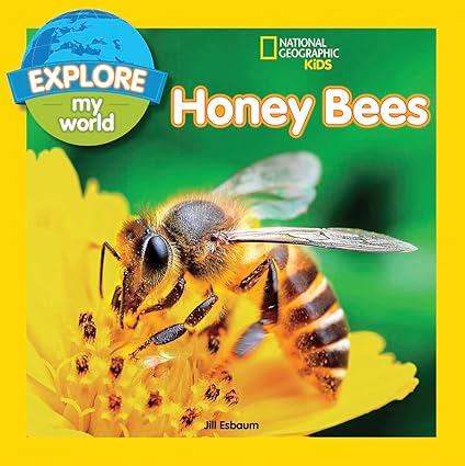 Explore My World: Honey Bees: Esbaum, Jill: 9781426327131: Amazon.com ...