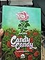 CANDY CANDY LA HISTORIA DEFINITIVA: Amazon.co.uk: NAGITA,KEIKO ...