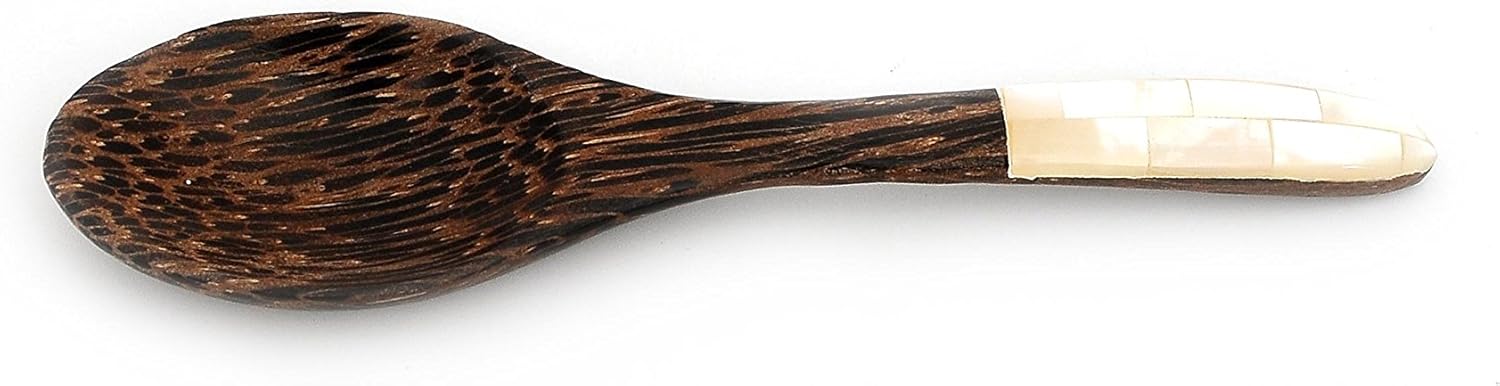 Amazon.com: Myanmar Handcrafted Palm Wood Small Spice Spoon With Mother ...
