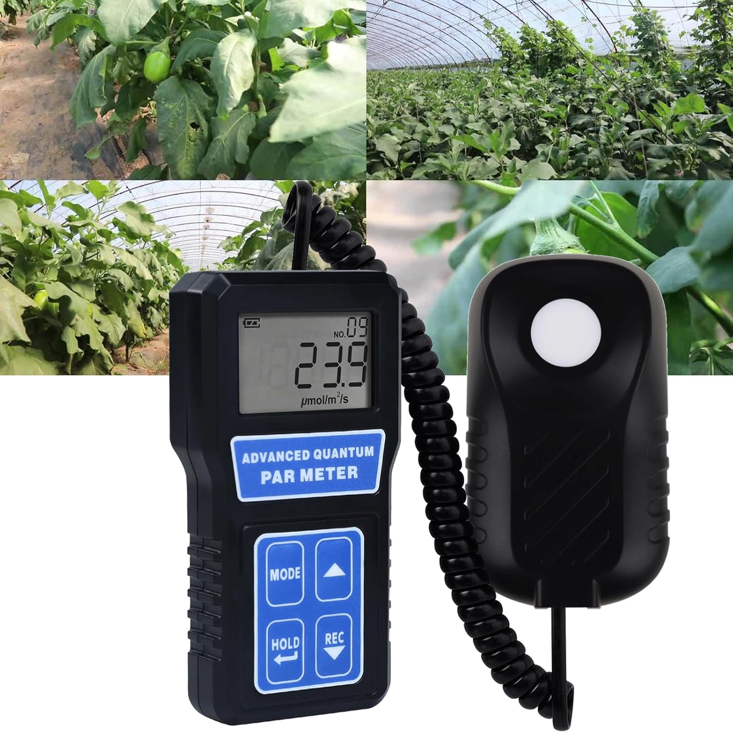 GOYOJO Quantum PAR Meter, High Precision Light Intensity Measuring ...