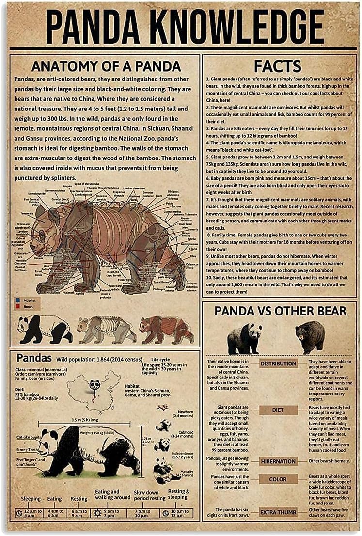 Amazon.com: Panda Knowledge Metal Tin Signs Anatomy Of A Panda ...