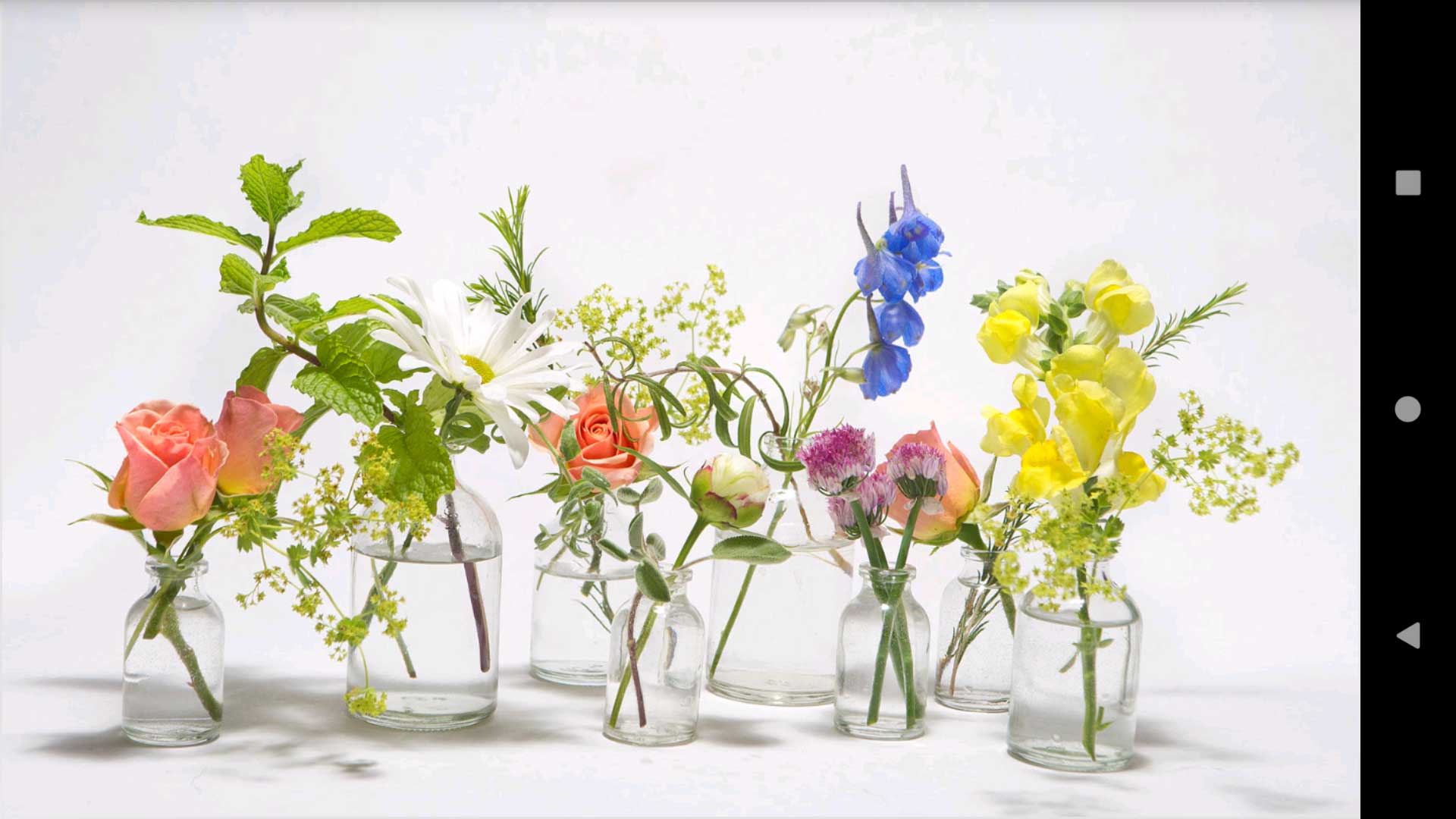 1033 Flowers Wallpapers - App on Amazon Appstore