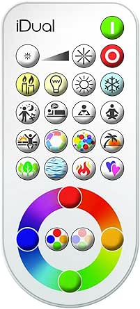 iDual Remote Control, White : Amazon.co.uk: Lighting