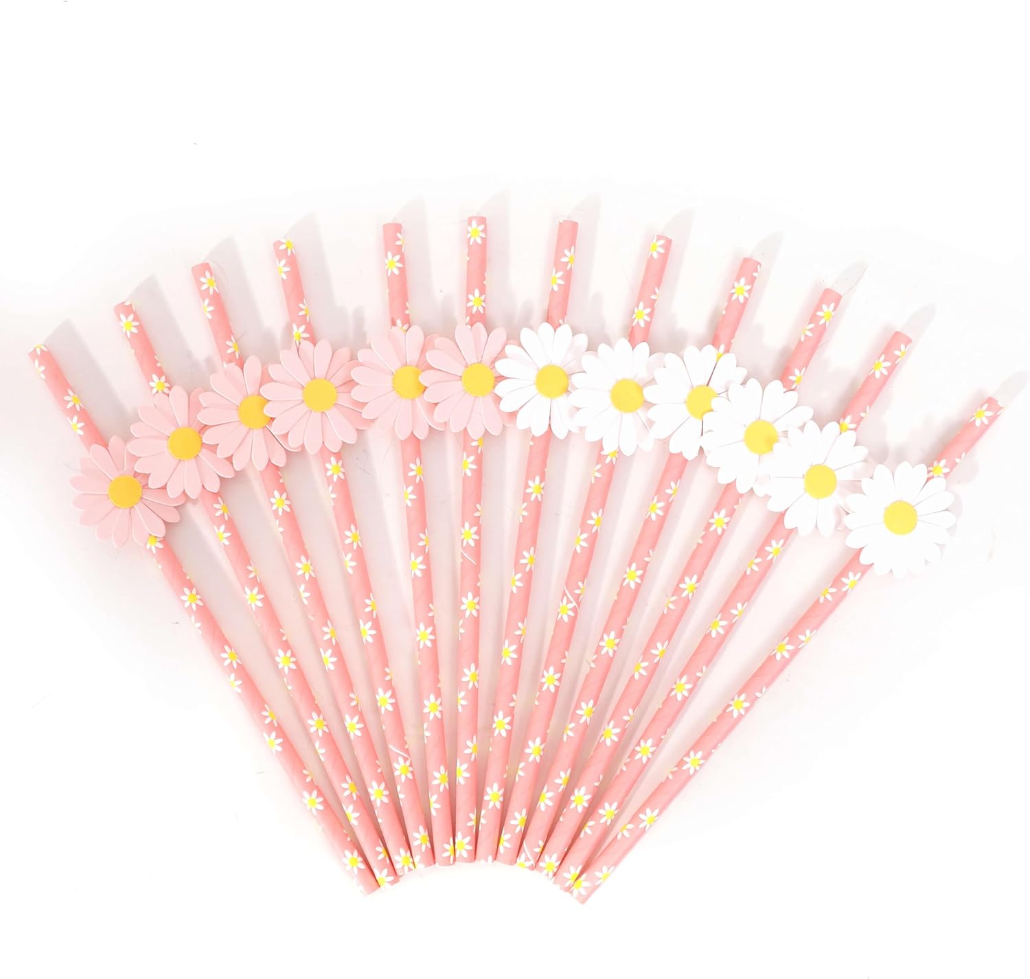Amazon.com: Daisy 1st Birthday Decoration - Daisy Boho Party Straws ...