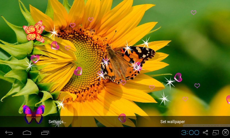 3D Sunflower Live Wallpapers:Amazon.co.uk:Appstore for Android