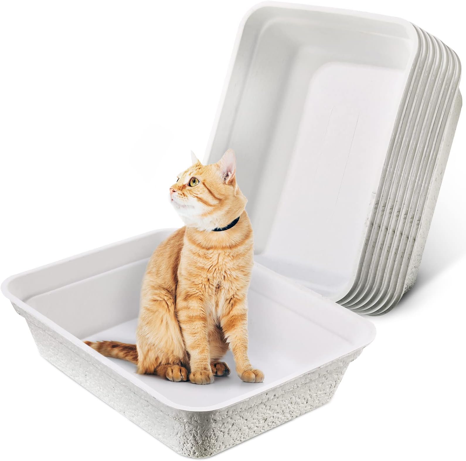 Amazon.com: Gerrii 8 Pcs Disposable Litter Boxes for Cats, Paper Kitten ...