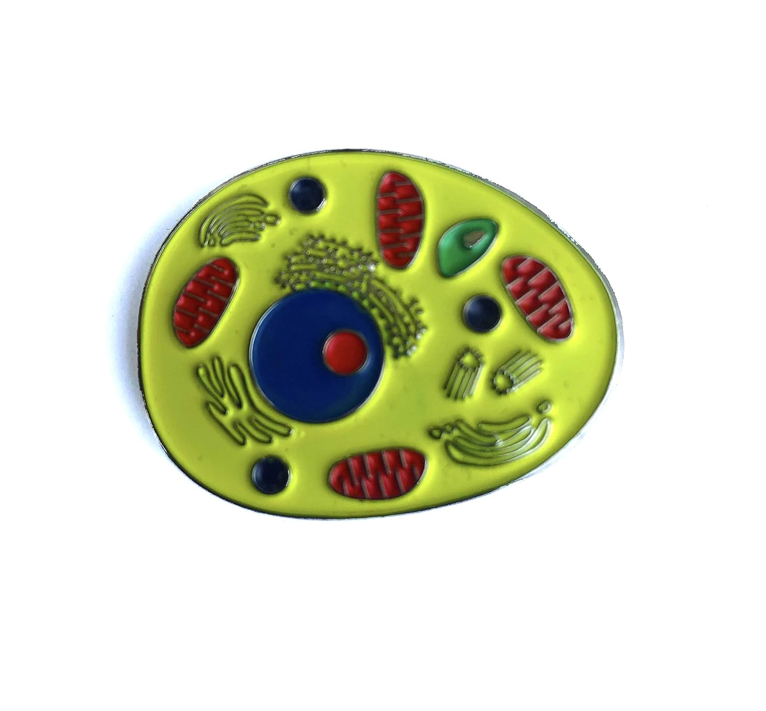 Biology Cell Pin: Amazon.com: Industrial & Scientific