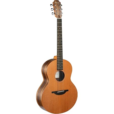 Amazon.com: Sheeran By Lowden Tour Edition Acoustic Guitar Ed Sheeran ...