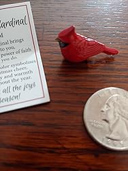 Amazon.com: The Christmas Cardinal Charms : Home & Kitchen