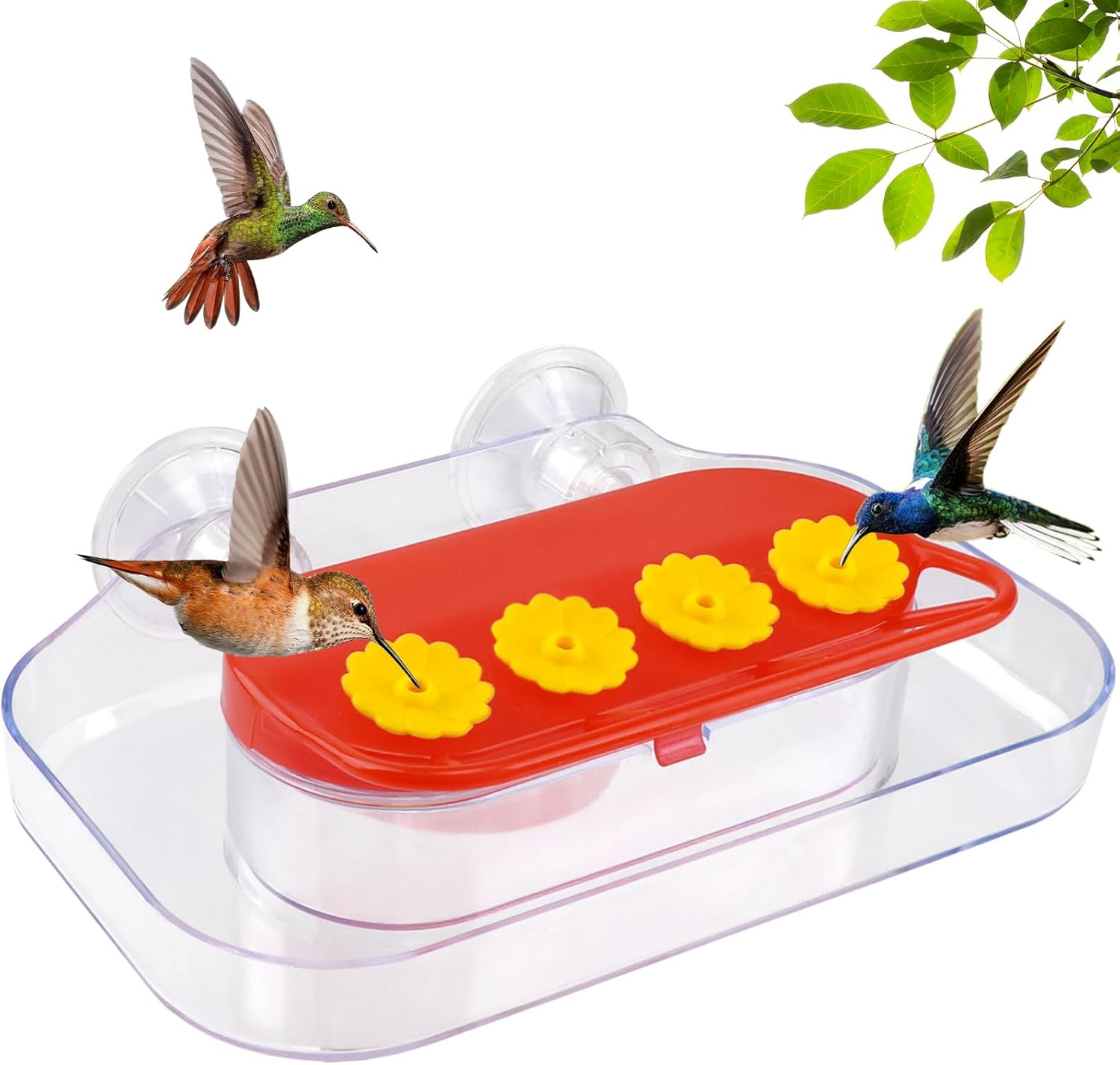 Amazon.com : 4-Port Hummingbird Feeder with Suction Cup Mount: Window ...