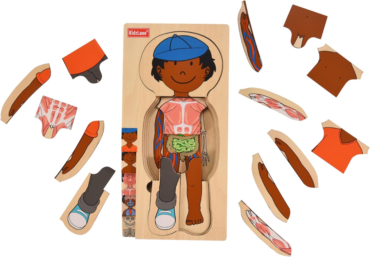 Amazon.com: Kidzlane African American Boy Wooden My Body Puzzle for ...