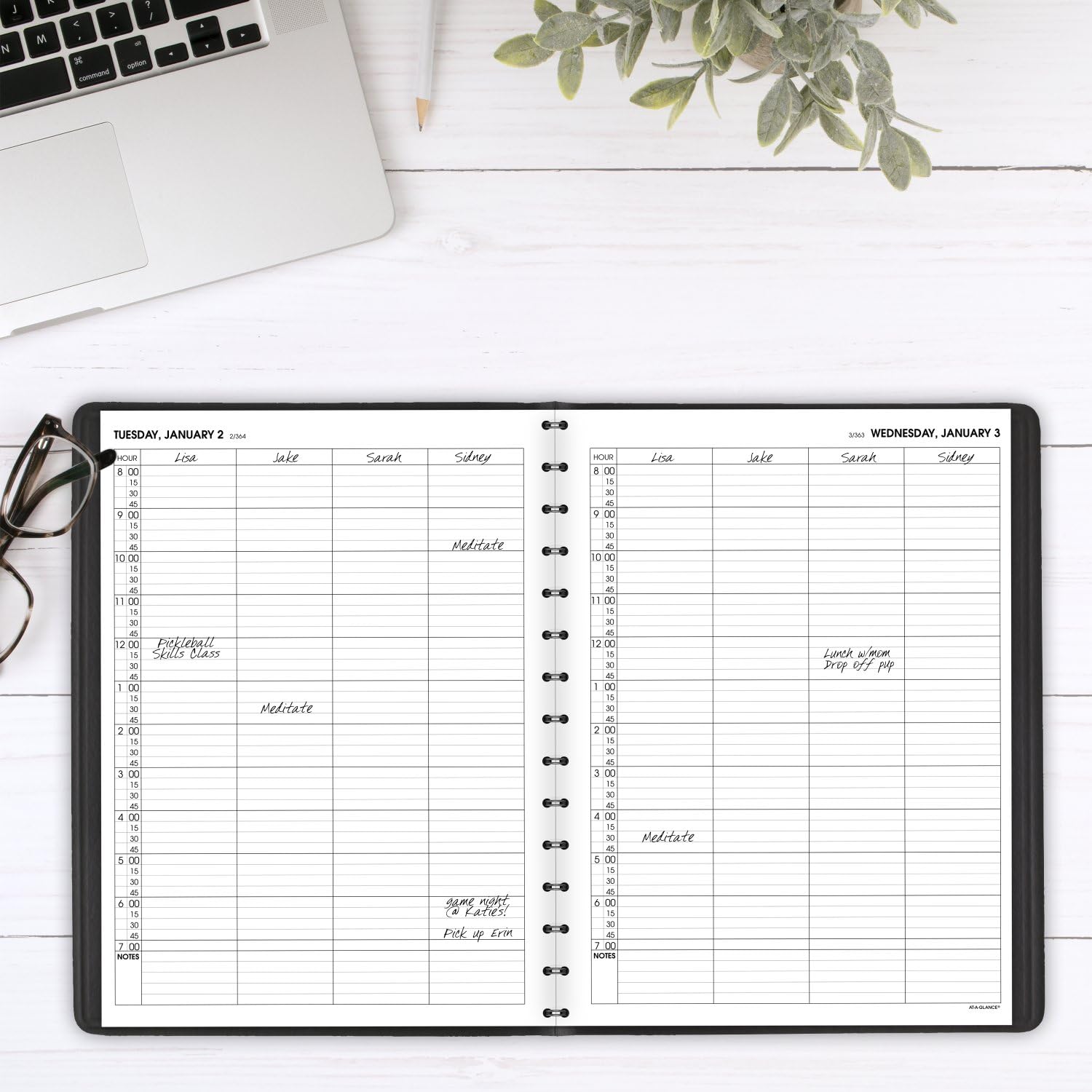 Snapklik.com : AT-A-GLANCE 2025 Appointment Book Planner, Daily, Four ...