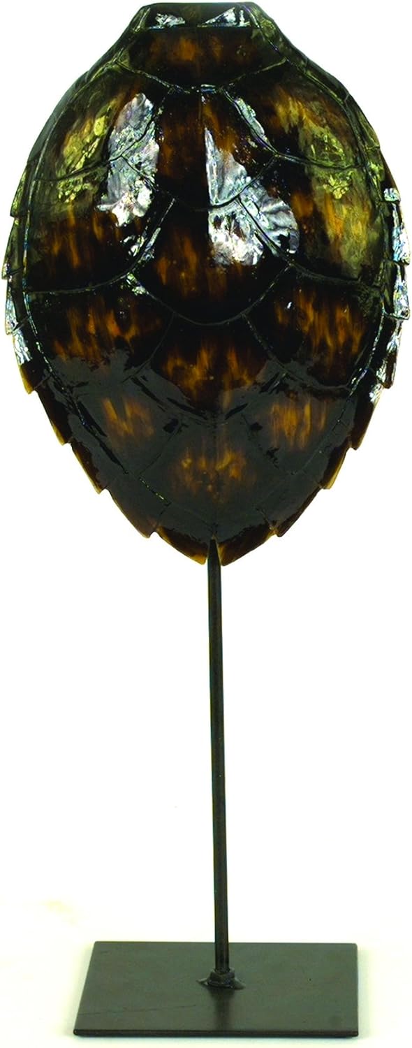 Amazon.com: Creative Co-Op DA3637 Resin Turtle Shell on Metal Stand ...