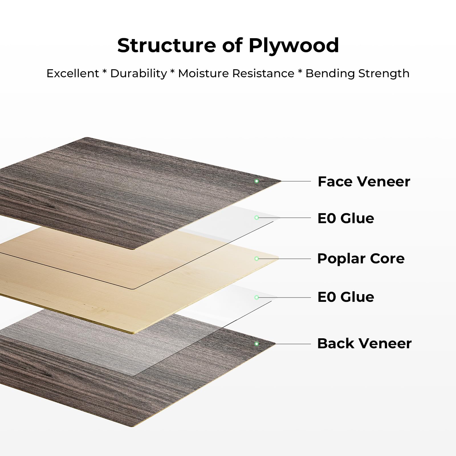 Snapklik.com : CREALITY FALCON Walnut Plywood Sheets 6 Pack 12" X 12" X ...