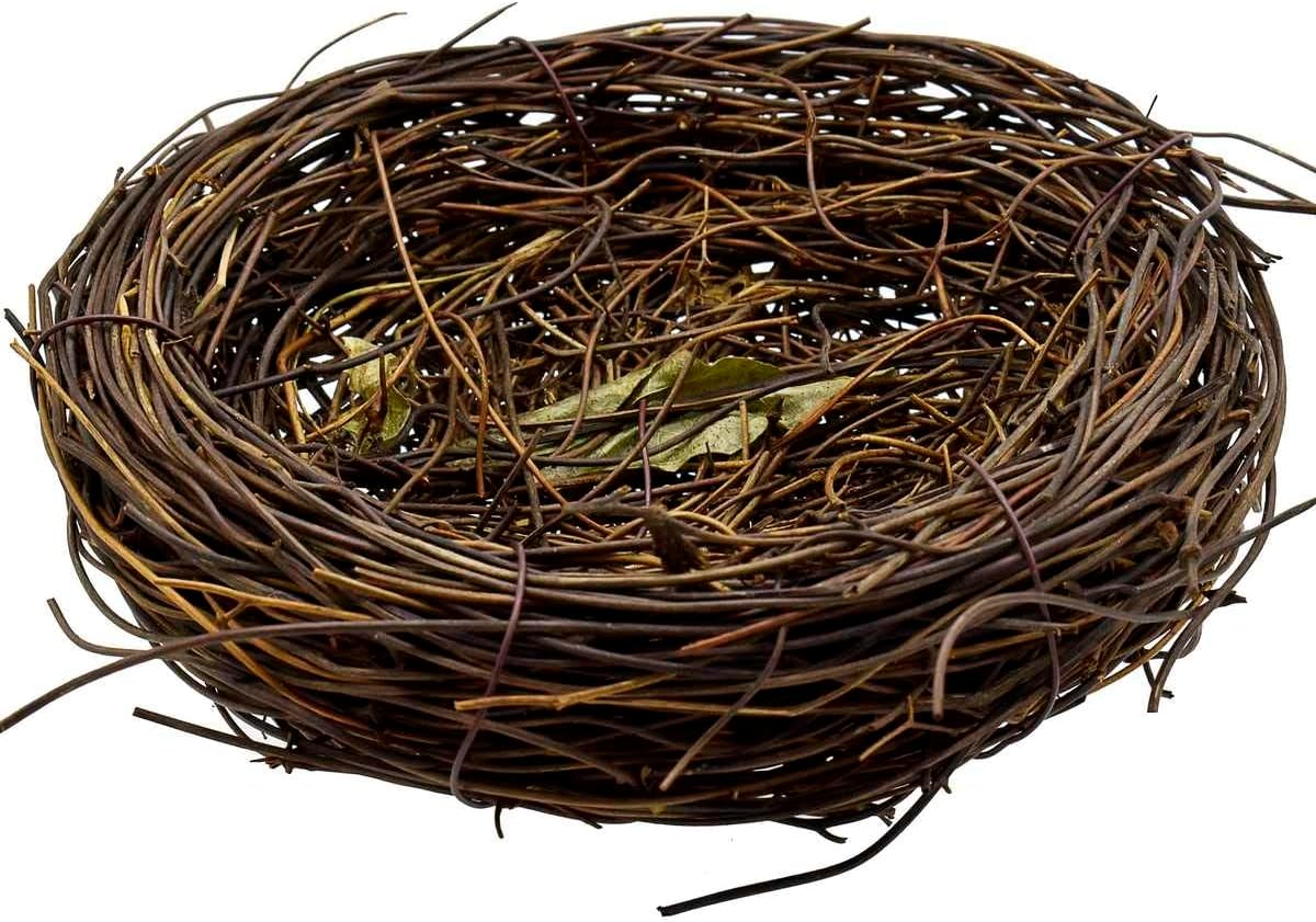 Aadya Crafts Birds Nest Ring Round 12cm : Amazon.in: Pet Supplies