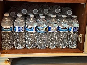 Amazon.com: Kirkland Signature Purified Drinking Water, 16.9 Ounce, 40 Count : Grocery & Gourmet ...