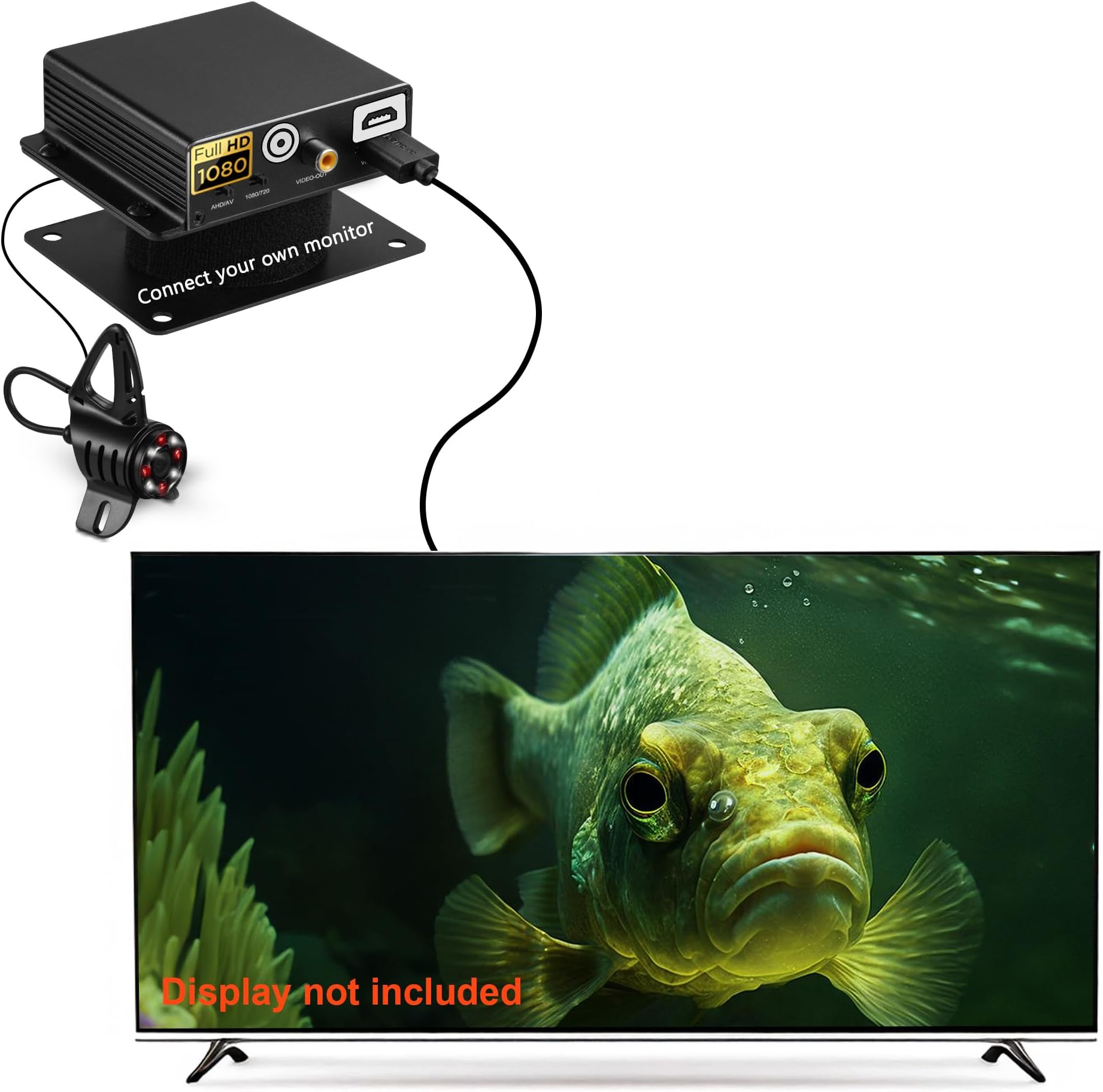 Amazon.com: CanFish Fishing CamX Fishing Finders Camera,Lure Action ...