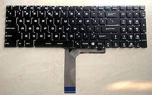 Amazon.com: EJTONG New for MSI MS-16J3 MS-16J4 MS-16J6 MS-16H5 MS-16H4 ...