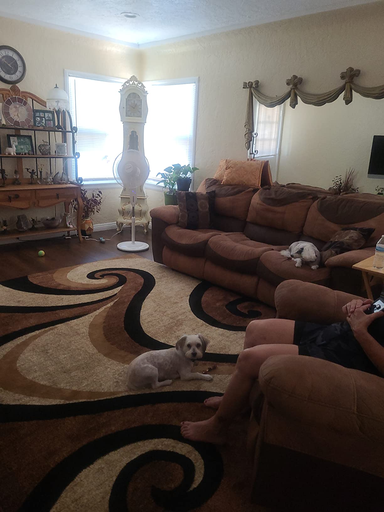 $17/mo - Finance Persian-Rugs – 0327 Contemporary Swirl Design ...