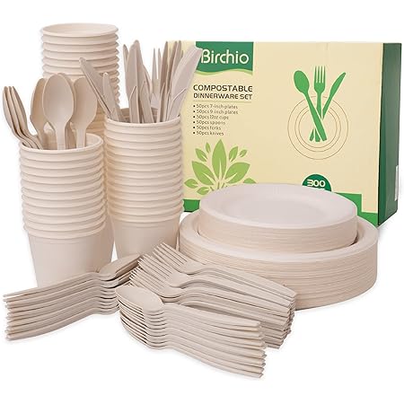 Amazon.com: Eco-Friendly Disposable Plates, Cups & Utensils ...