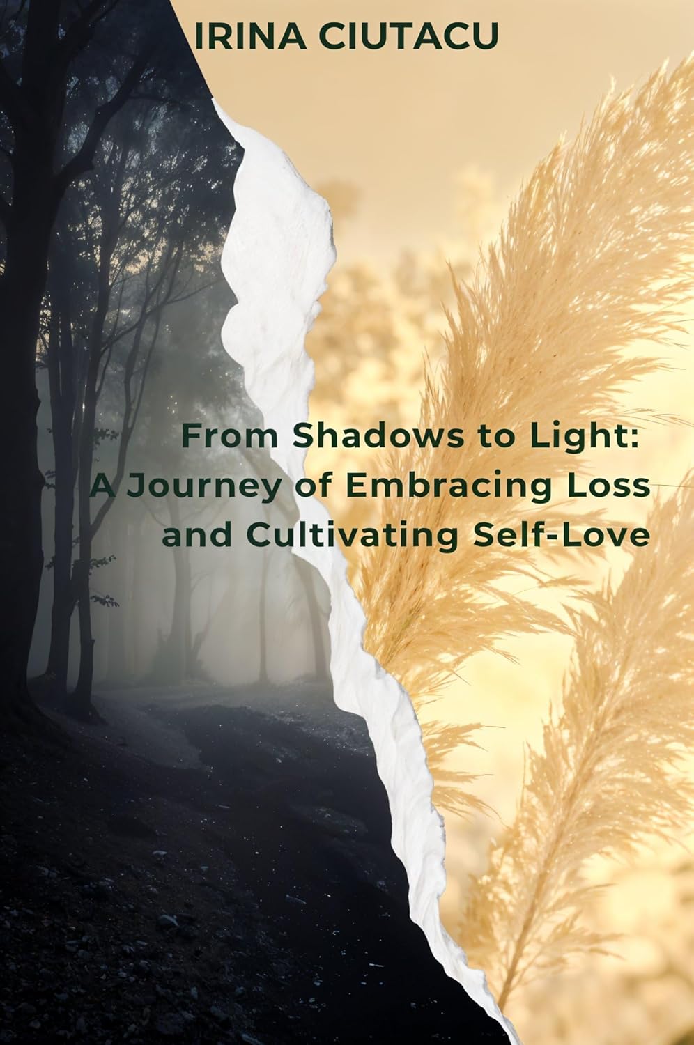Amazon.com: From Shadows to Light: A Transformational Mindset and ...