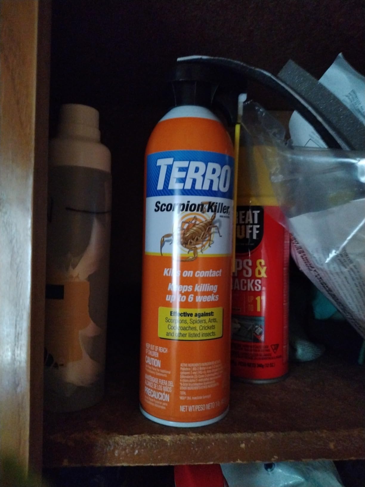 Amazon.com : TERRO T2101SR Scorpion Killer Spray-, White Count of 2 ...