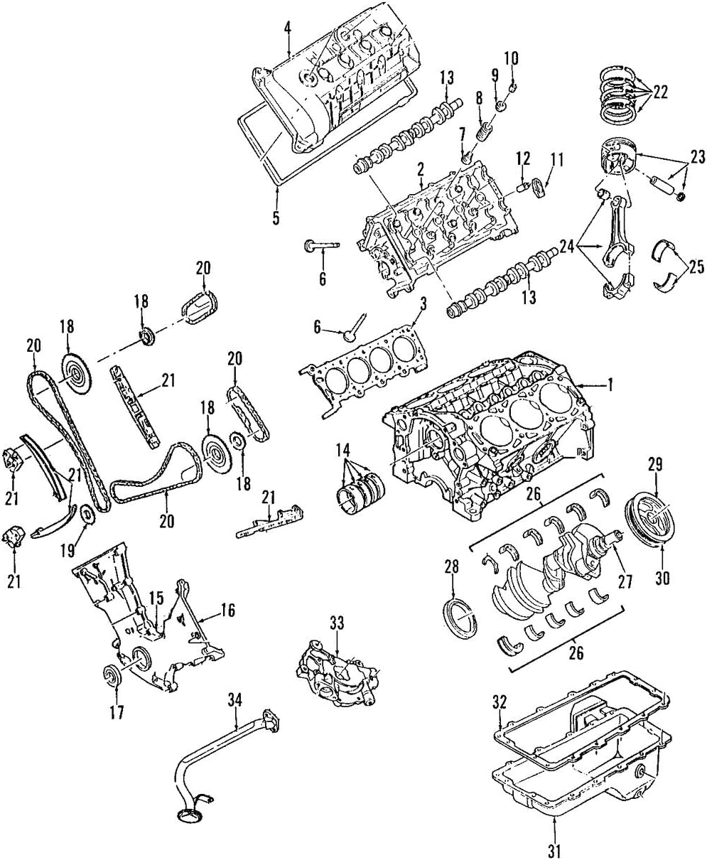Ford F7LZ-6K254-AA, Engine Timing Chain Tensioner : Amazon.ca: Automotive