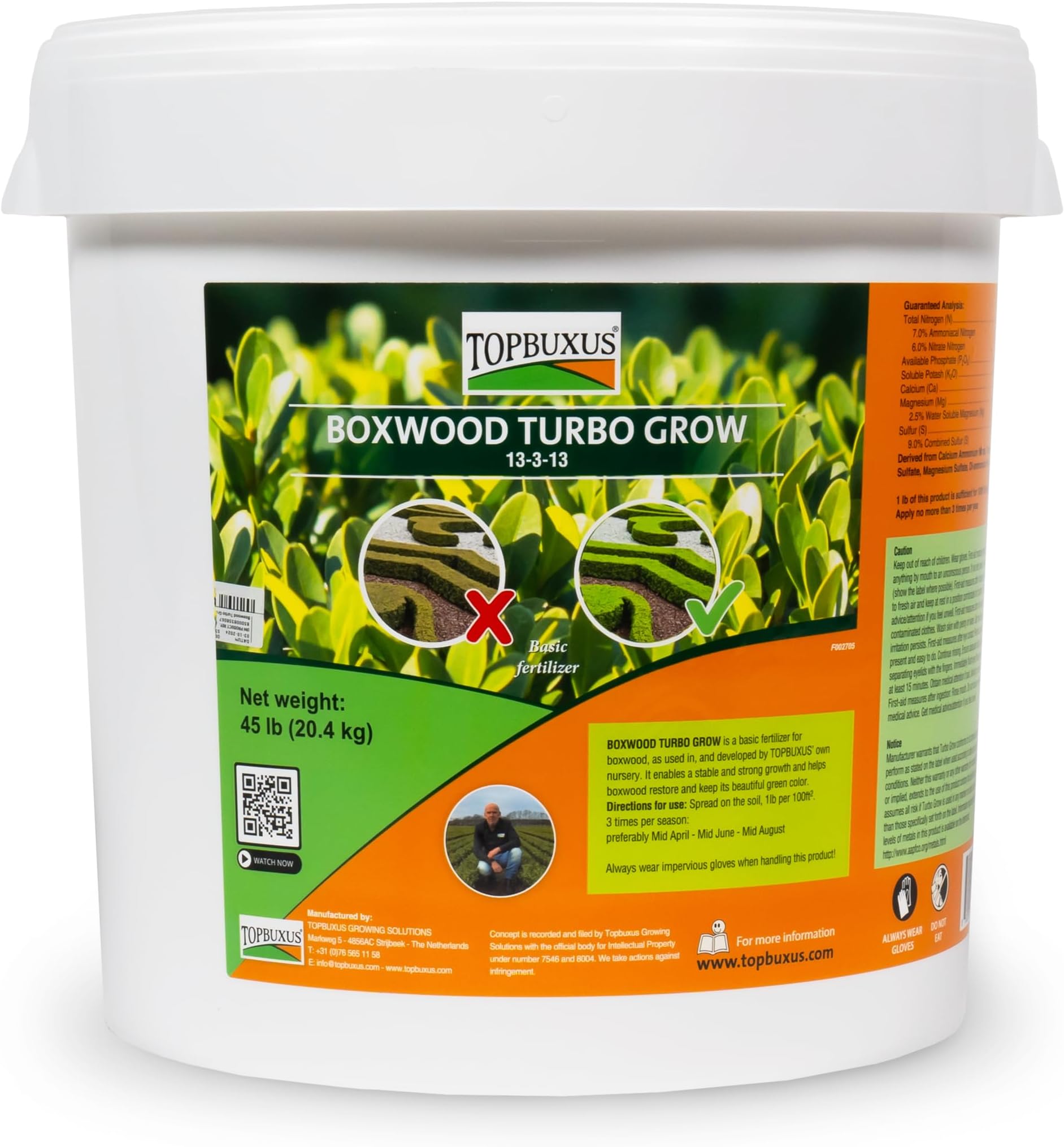 Amazon.com : TOPBUXUS Boxwood Turbo Grow - Professional Boxwood ...