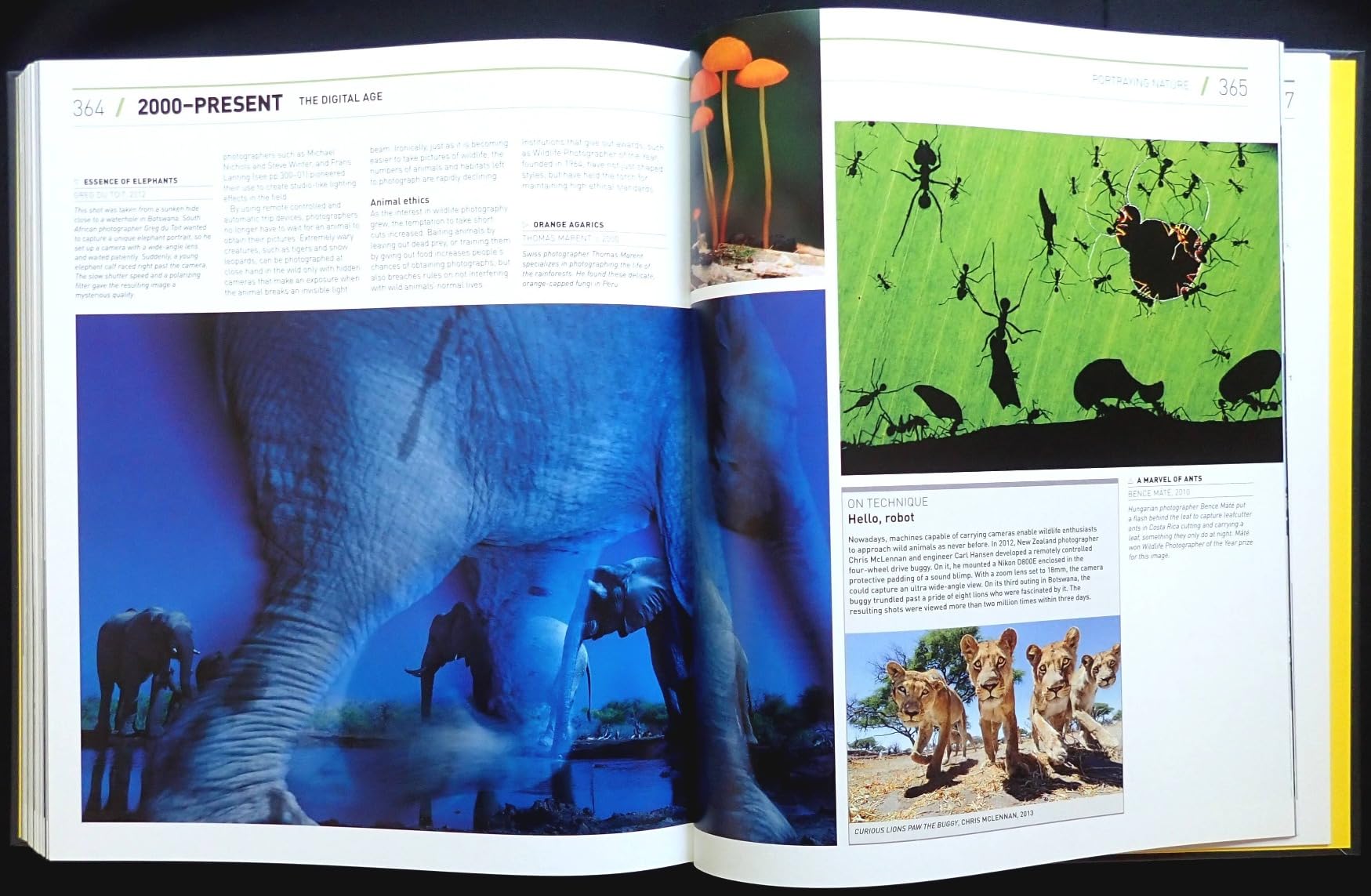 Photography: The Definitive Visual History (DK Definitive Cultural ...